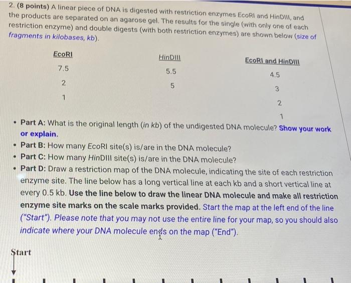 Solved 2. (8 points) A linear piece of DNA is digested with | Chegg.com