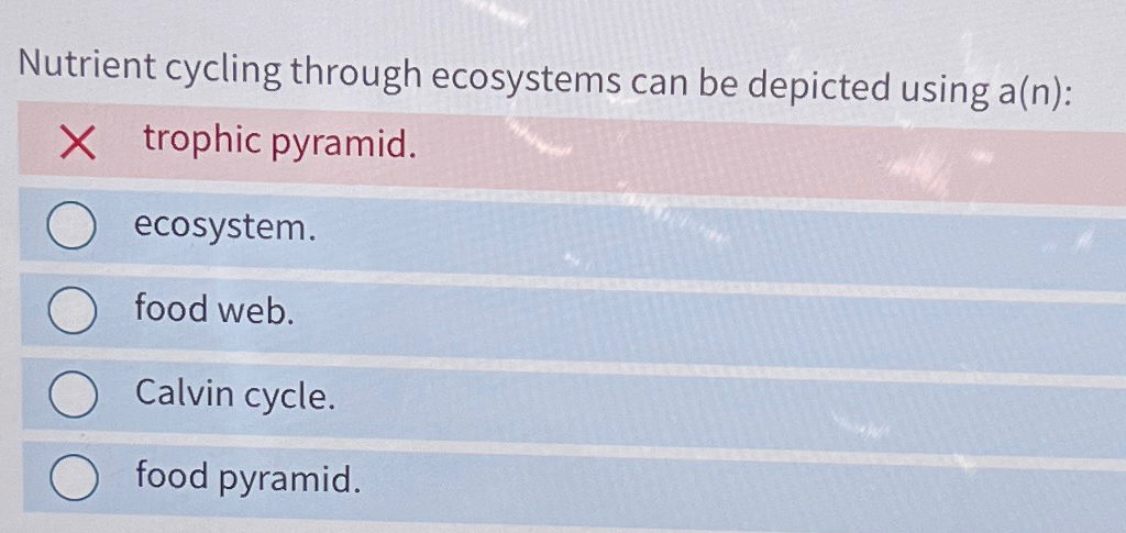 Solved Nutrient cycling through ecosystems can be depicted | Chegg.com