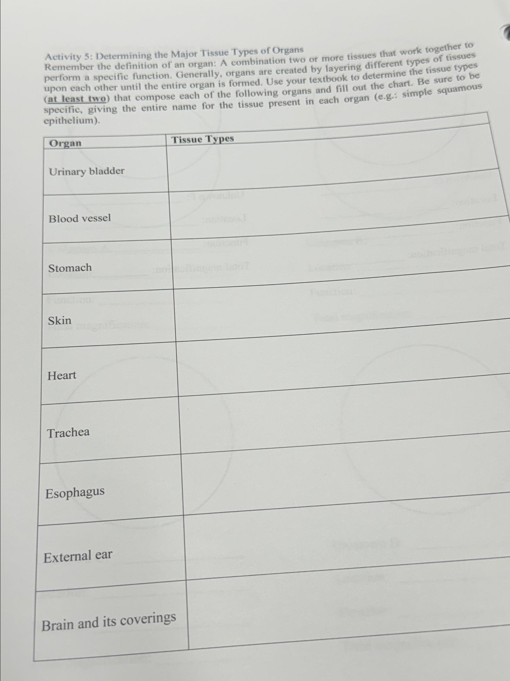 Solved Activity 5: Determining the Major Tissue Types of | Chegg.com