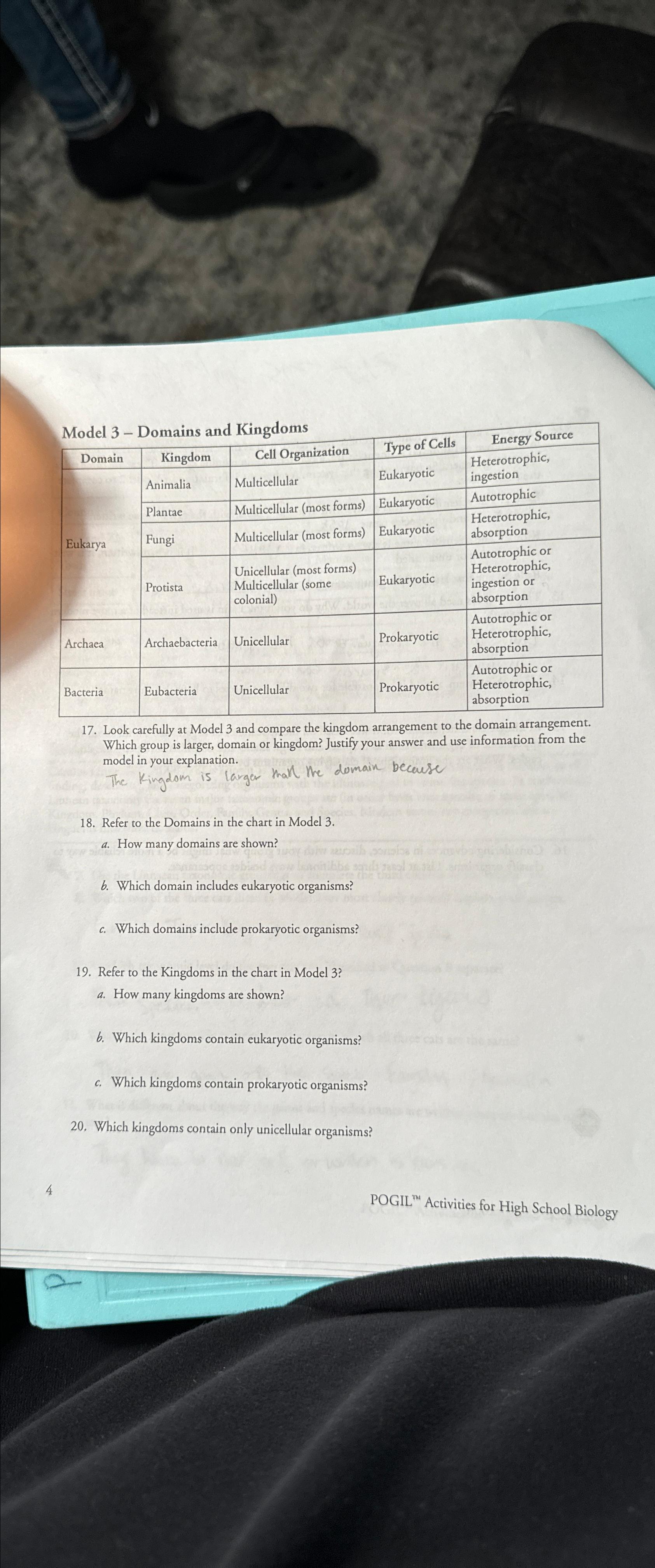 Solved Model 3 - ﻿Domains and KingdomsModel 3 - ﻿Domains and | Chegg.com
