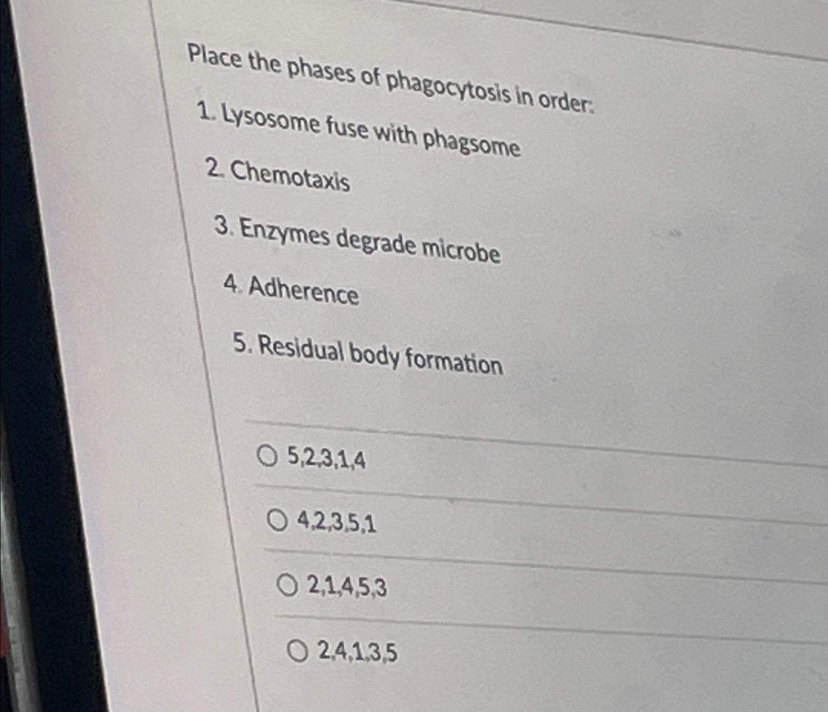Solved Place the phases of phagocytosis in order:Lysosome | Chegg.com