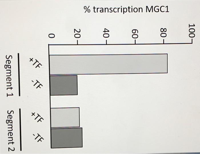Solved 2 a) Describe how the transcritional activity of mgc1 | Chegg.com