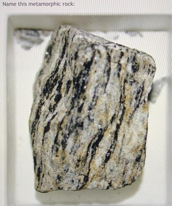 Solved Name this metamorphic rock: Name this metamorphic | Chegg.com