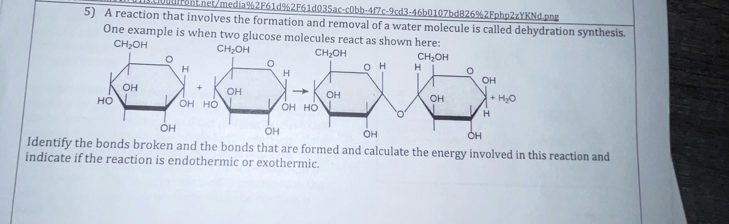 Solved A reaction that inOne example is when two glucose | Chegg.com