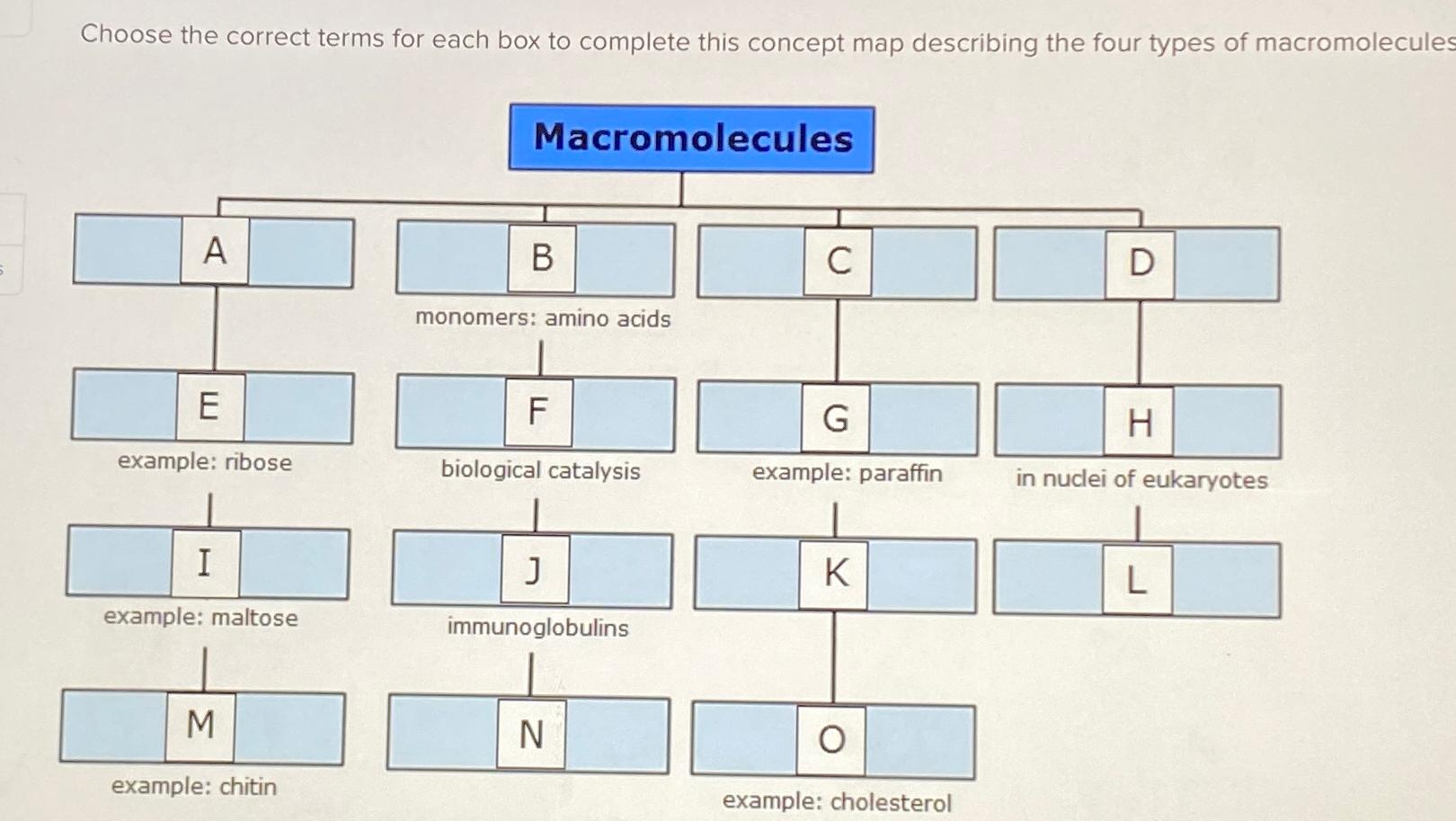 Solved Choose the correct terms for each box to complete | Chegg.com