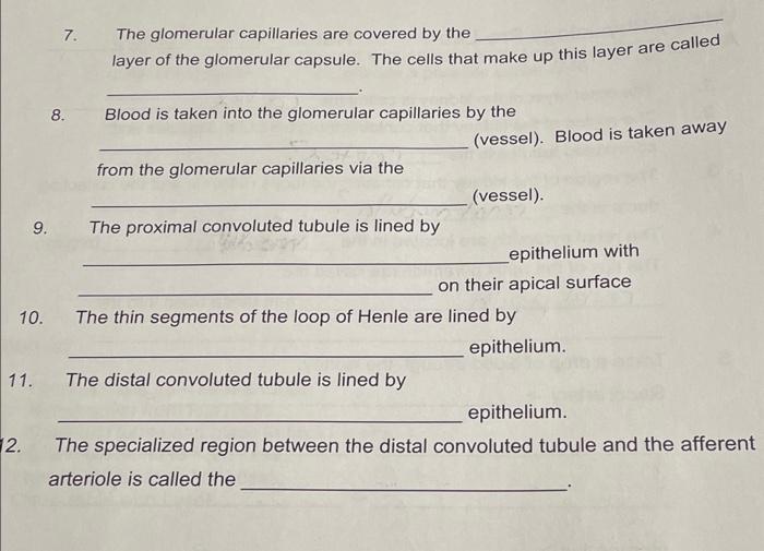 Solved 1. The outer layer of the kidney is called the | Chegg.com