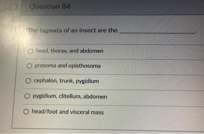 Solved Question 84 The tagmata of an insect are the head, | Chegg.com