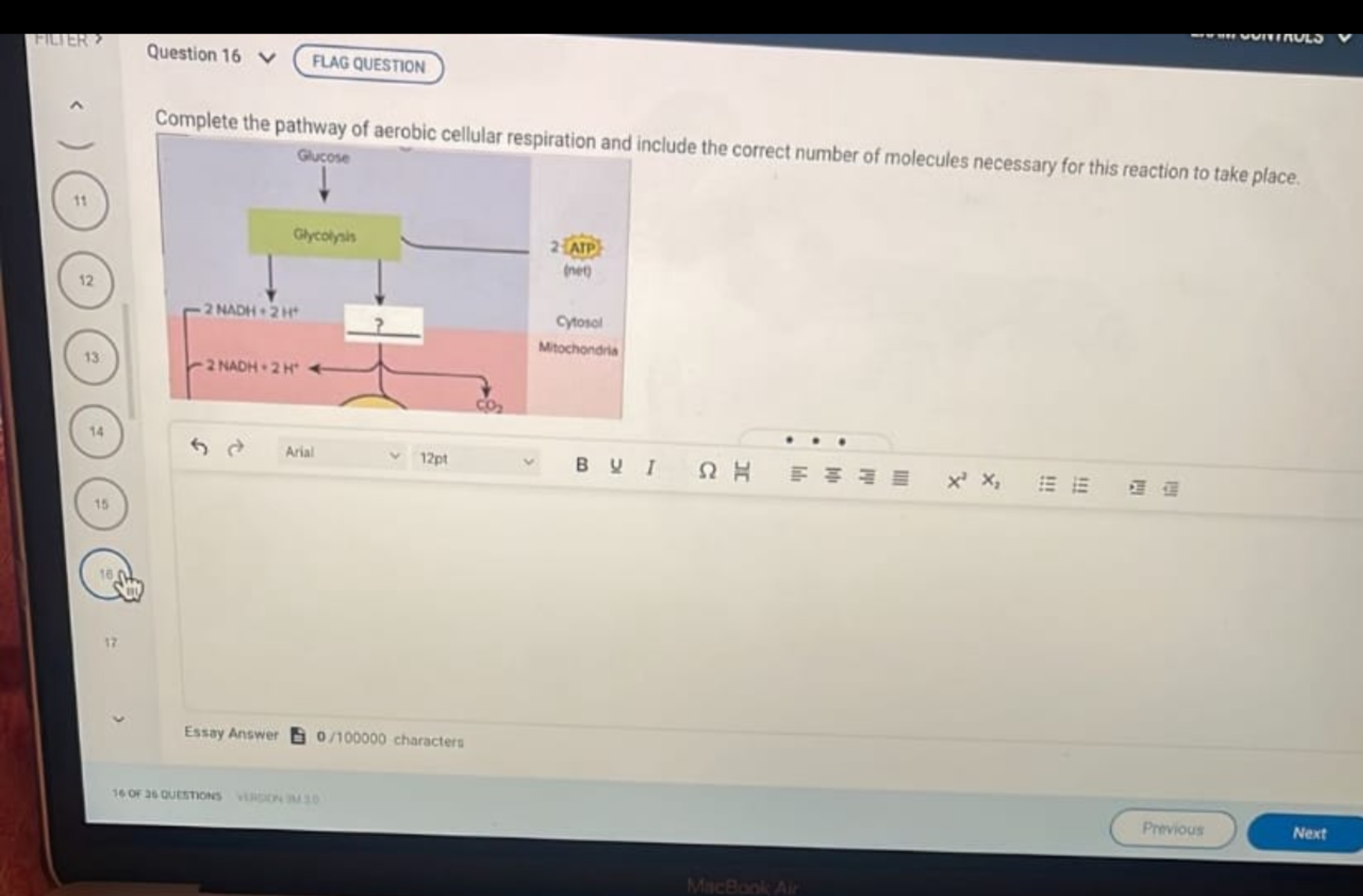 Solved Complete the pathway of aerobic cellular resniration | Chegg.com