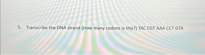 Solved 5. Transcribe the DNA strand (How many codons is | Chegg.com