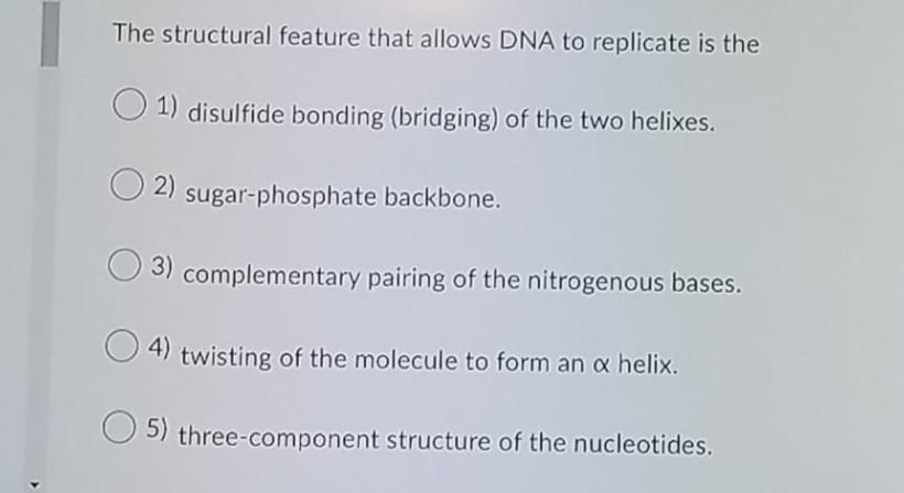 Solved The structural feature that allows DNA to replicate | Chegg.com