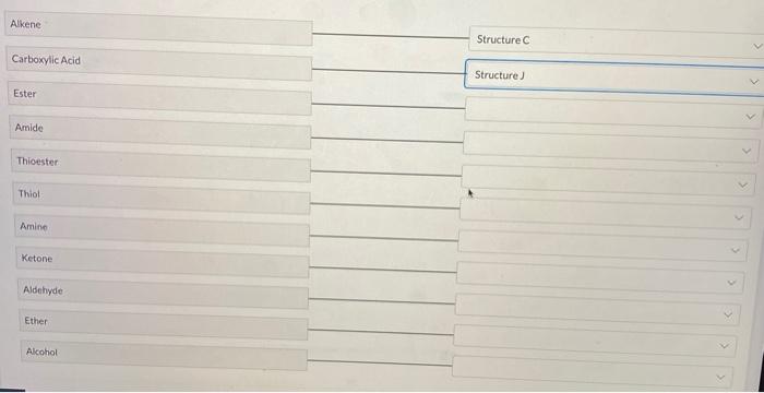 Solved Match the name of the functional group with the | Chegg.com