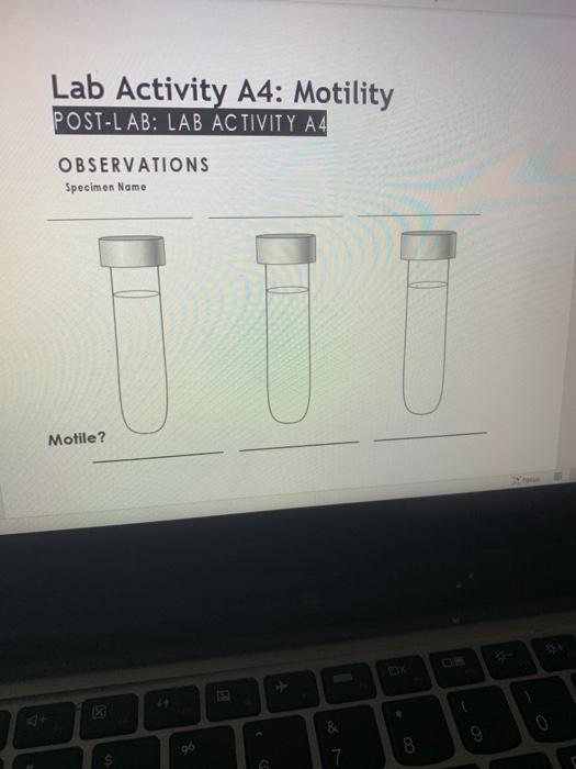Lab Activity A4: Motility POST-LAB: LAB ACTIVITY A4 | Chegg.com