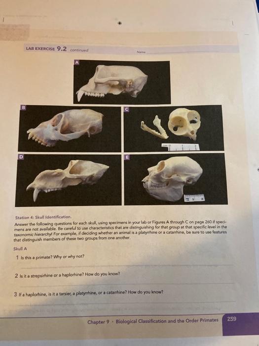 Solved LAB EXERCISE 9.2 continued Name B с Station 4: Skull | Chegg.com