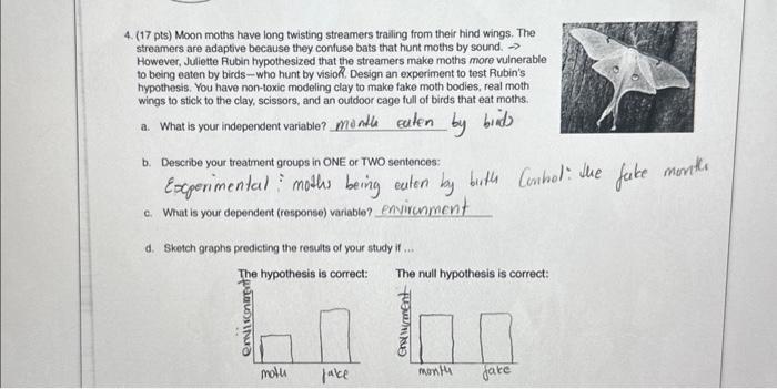Solved 4. (17 pts) Moon moths have long twisting streamers | Chegg.com