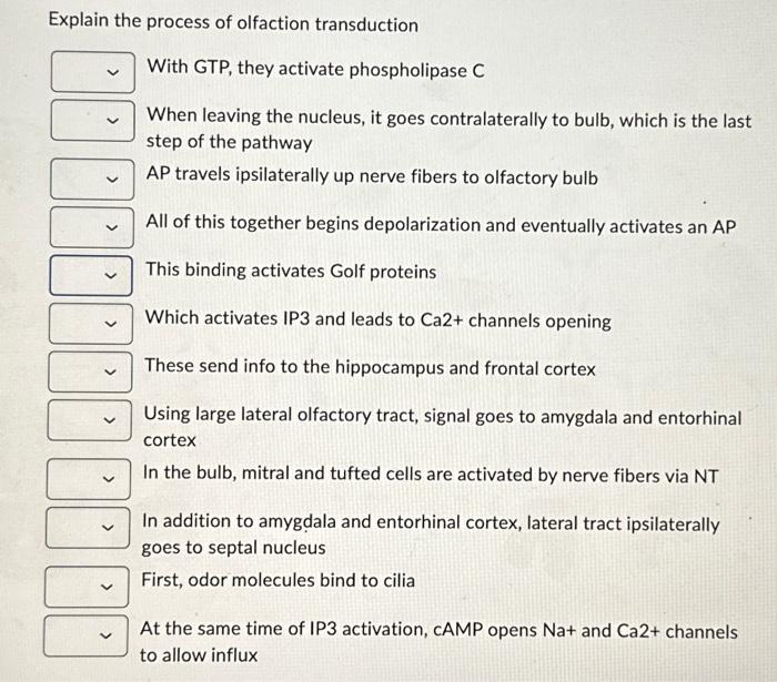 Solved Explain the process of olfaction transduction With | Chegg.com