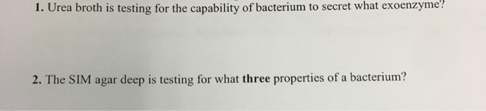 Solved 1. Urea broth is testing for the capability of | Chegg.com