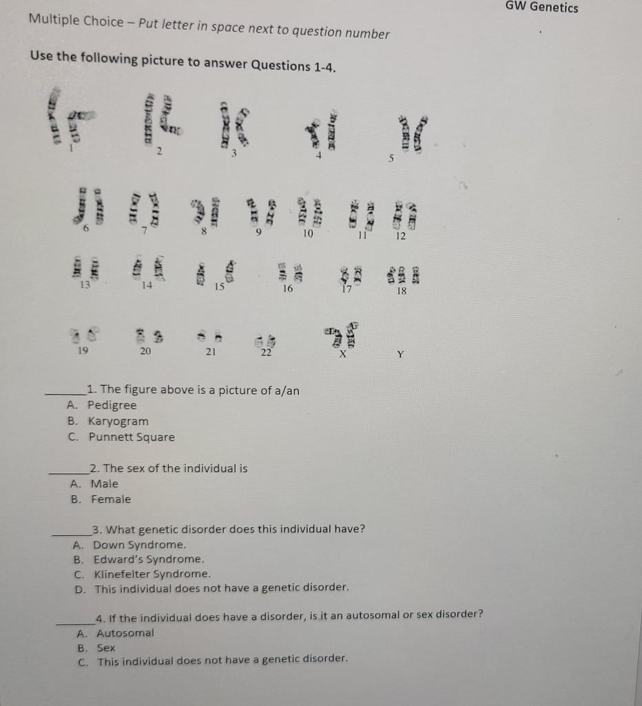 Solved GW Genetics Multiple Choice - Put letter in space | Chegg.com