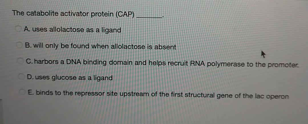 Solved The catabolite activator protein (CAP) A. uses | Chegg.com