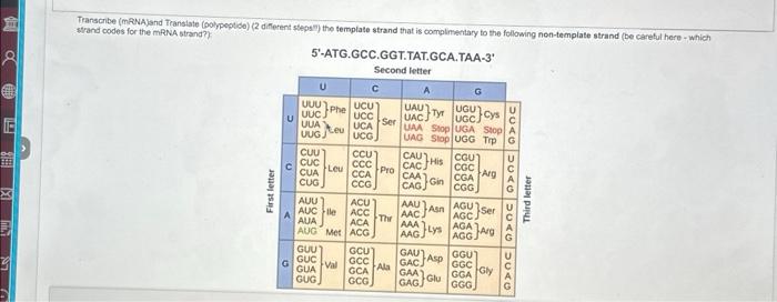 Solved strand codes for the mRNA strand? | Chegg.com