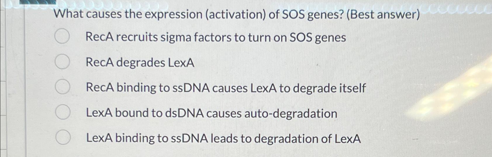 Solved What causes the expression (activation) ﻿of SOS | Chegg.com