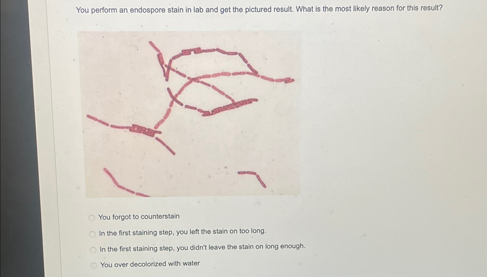 Solved You perform an endospore stain in lab and get the | Chegg.com