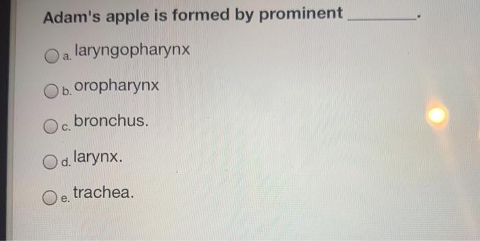 Solved Adam's apple is formed by prominent a. a | Chegg.com