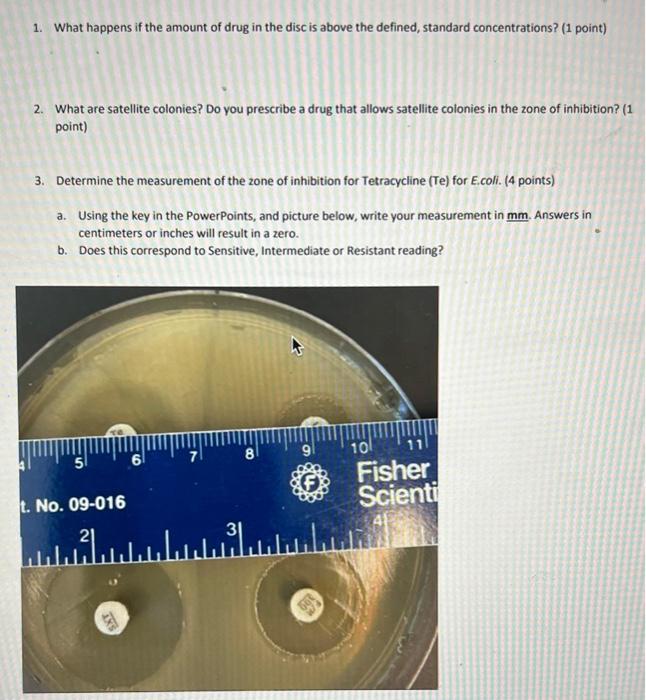 Solved 1. What happens if the amount of drug in the disc is | Chegg.com