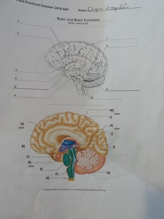 Solved 8 ན་མད། Smer 2018 ASP Fire Protinum Summer 2018 Nam | Chegg.com
