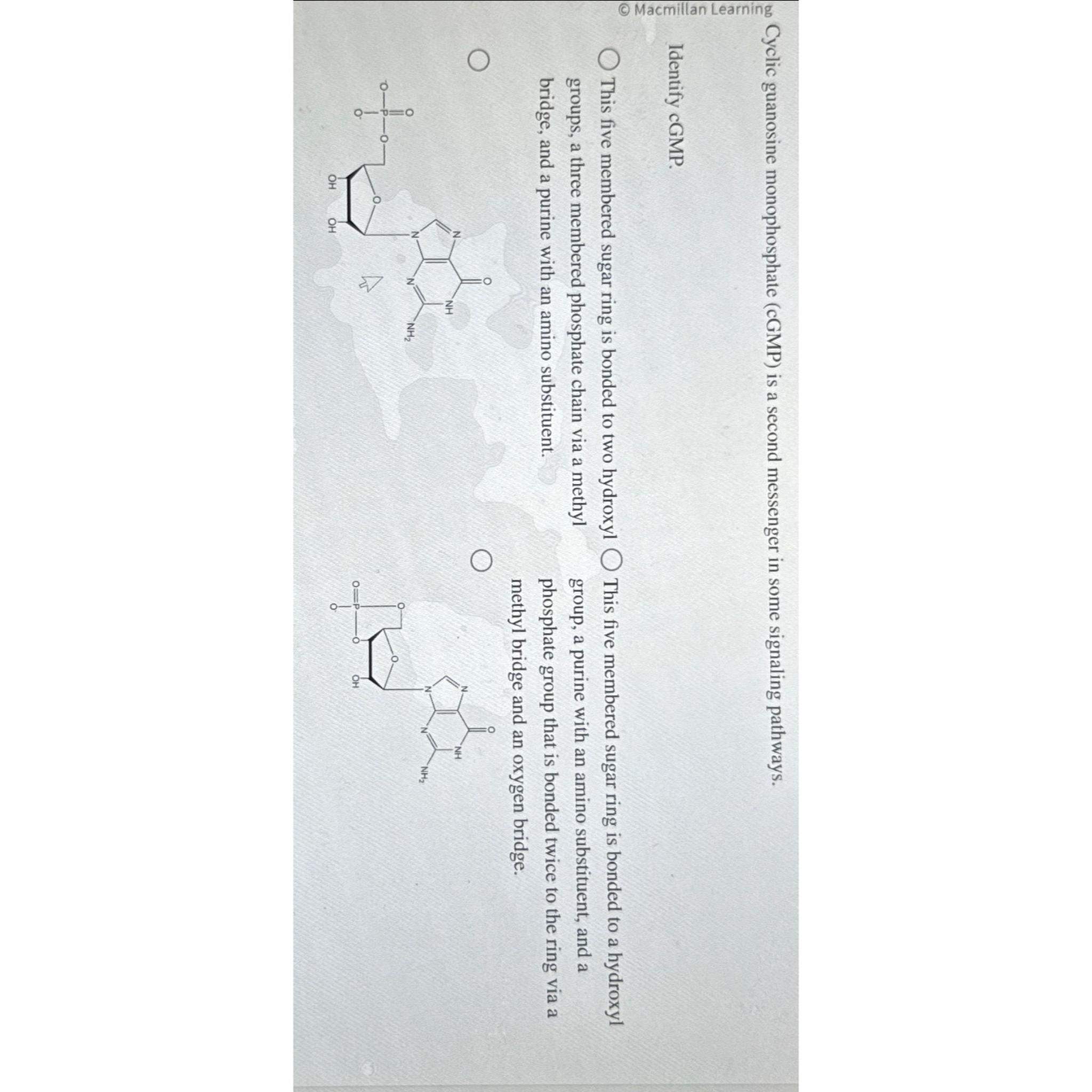 Solved Cyclic guanosine monophosphate (cGMP) ﻿is a second | Chegg.com
