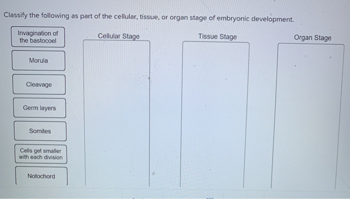 Solved Classify the following as part of the cellular, | Chegg.com