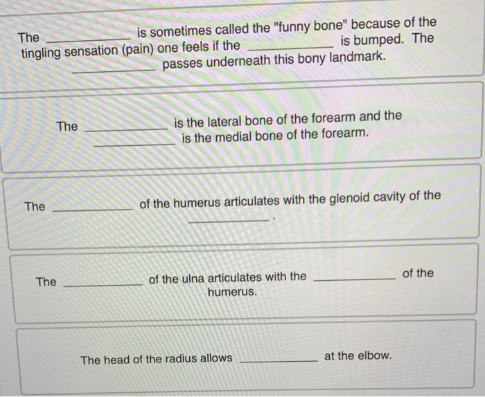 Solved The is sometimes called the "funny bone" because of | Chegg.com