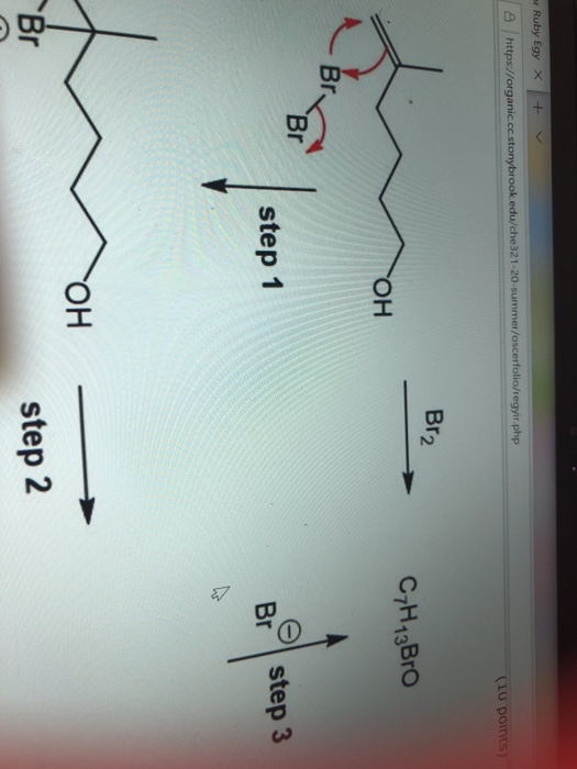 Solved Ruby Egy X + A https://organic.ce.stonybrook.edu/che | Chegg.com