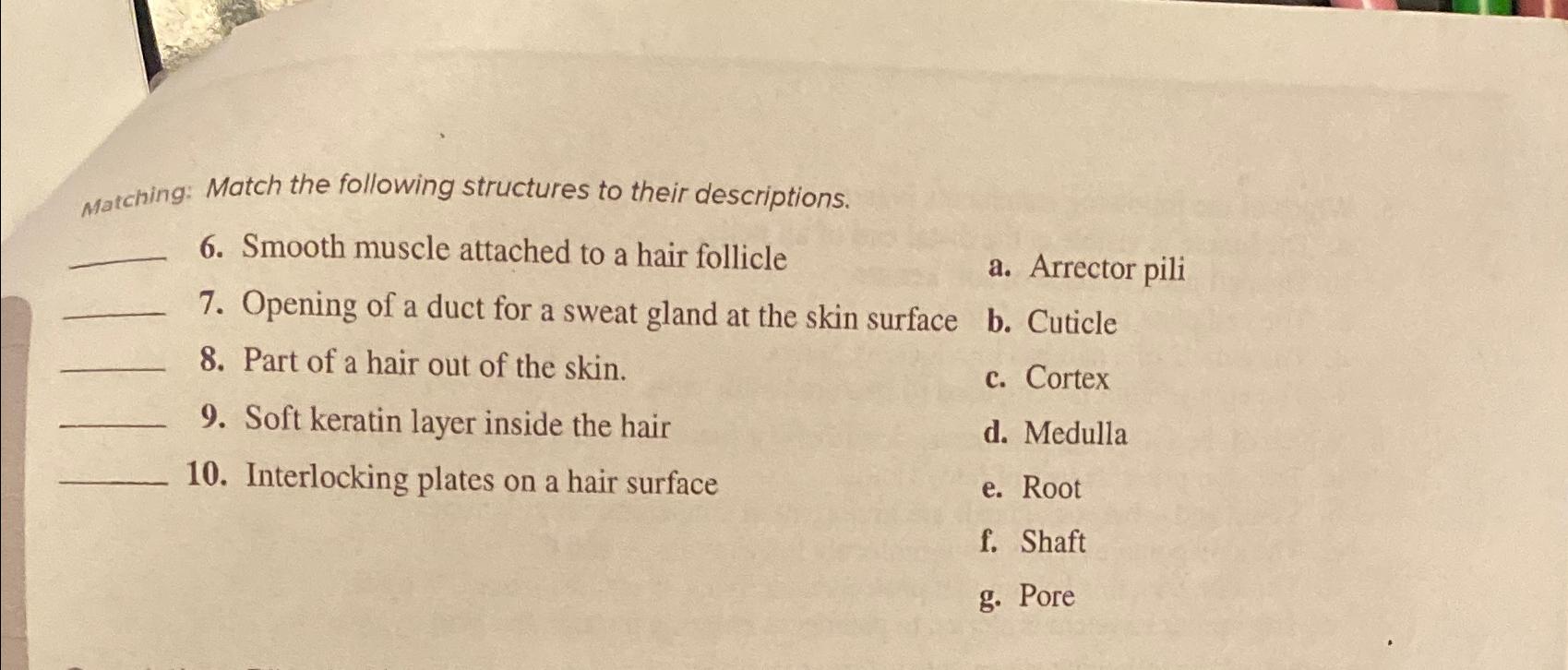 Solved Matching: Match the following structures to their | Chegg.com