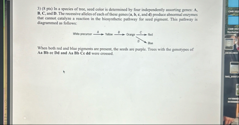 Solved (8 ﻿pts) ﻿In a species of tree, seed color is | Chegg.com