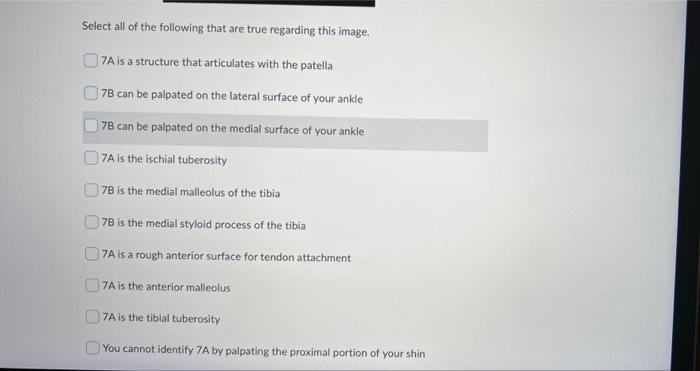 Solved 7A 7B Select all of the following that are true | Chegg.com