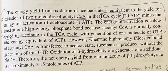 The energy yield from oxidation of acetoacetate is | Chegg.com