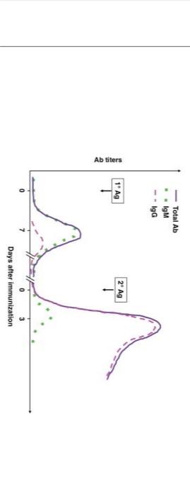 Solved The figure below represents the changes in antibody | Chegg.com