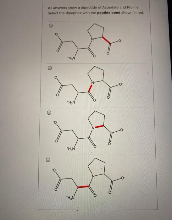 Solved All answers show a dipeptide of Aspartate and | Chegg.com