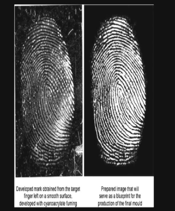 Solved its forensic Science. For this fingerprint, determine | Chegg.com