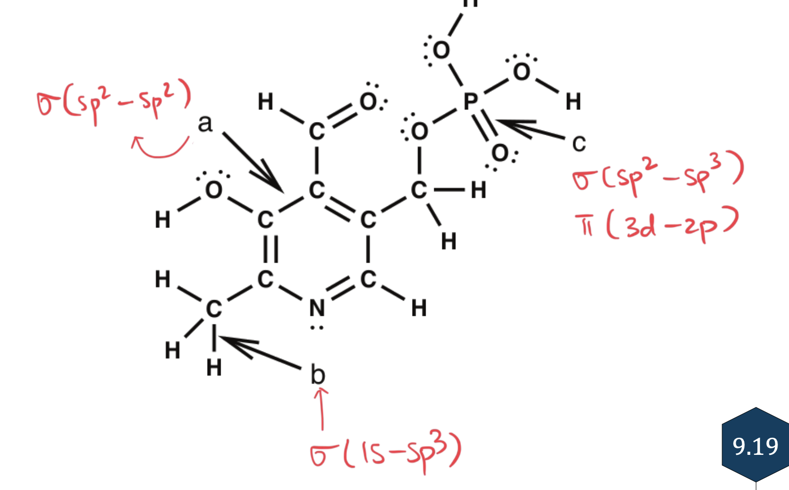 Solved Can you explain why is the Pi bond (3d-2p) ﻿instead | Chegg.com