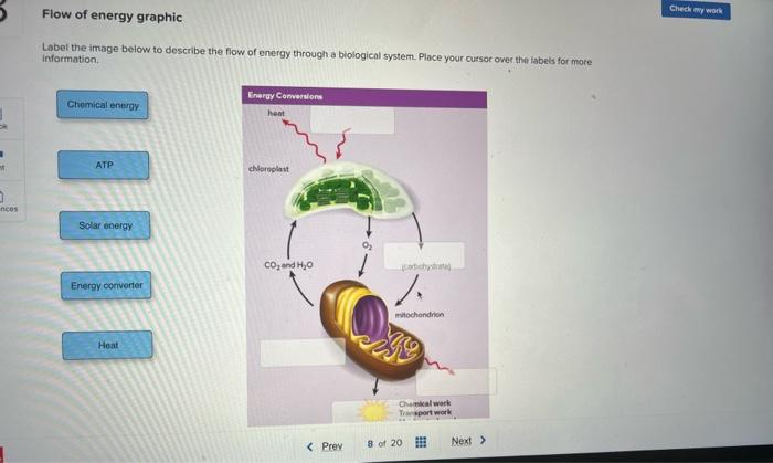 ! 1 ht 0 nces Flow of energy graphic Label the image | Chegg.com