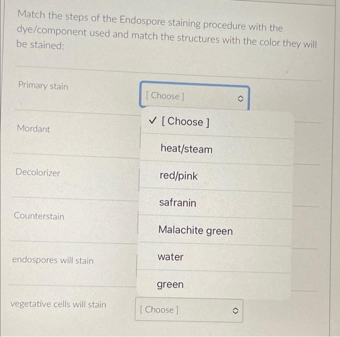 Solved Match the steps of the Endospore staining procedure | Chegg.com