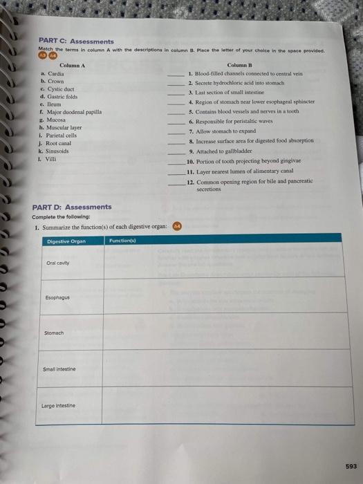 Solved PART C: Assessments Match the terms in column A with | Chegg.com