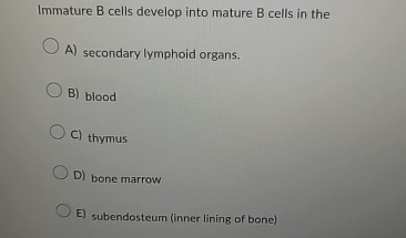 Solved Immature B cells develop into mature B cells in theA) | Chegg.com