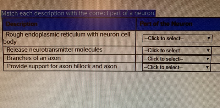 Solved Match each description with the correct part of a | Chegg.com