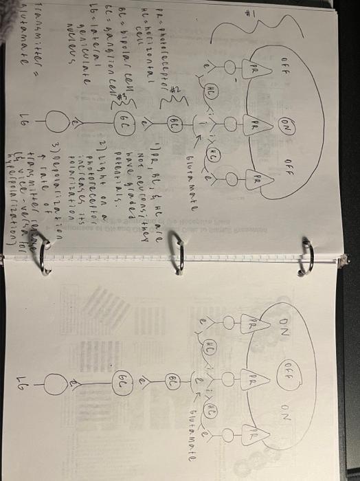 Solved Can somebody please explain the two diagrams here, | Chegg.com
