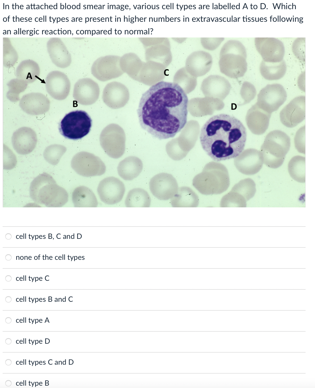 Solved In the attached blood smear image, various cell types | Chegg.com