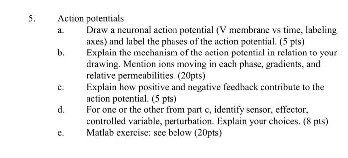 Solved Action potentials a. Draw a neuronal action potential | Chegg.com