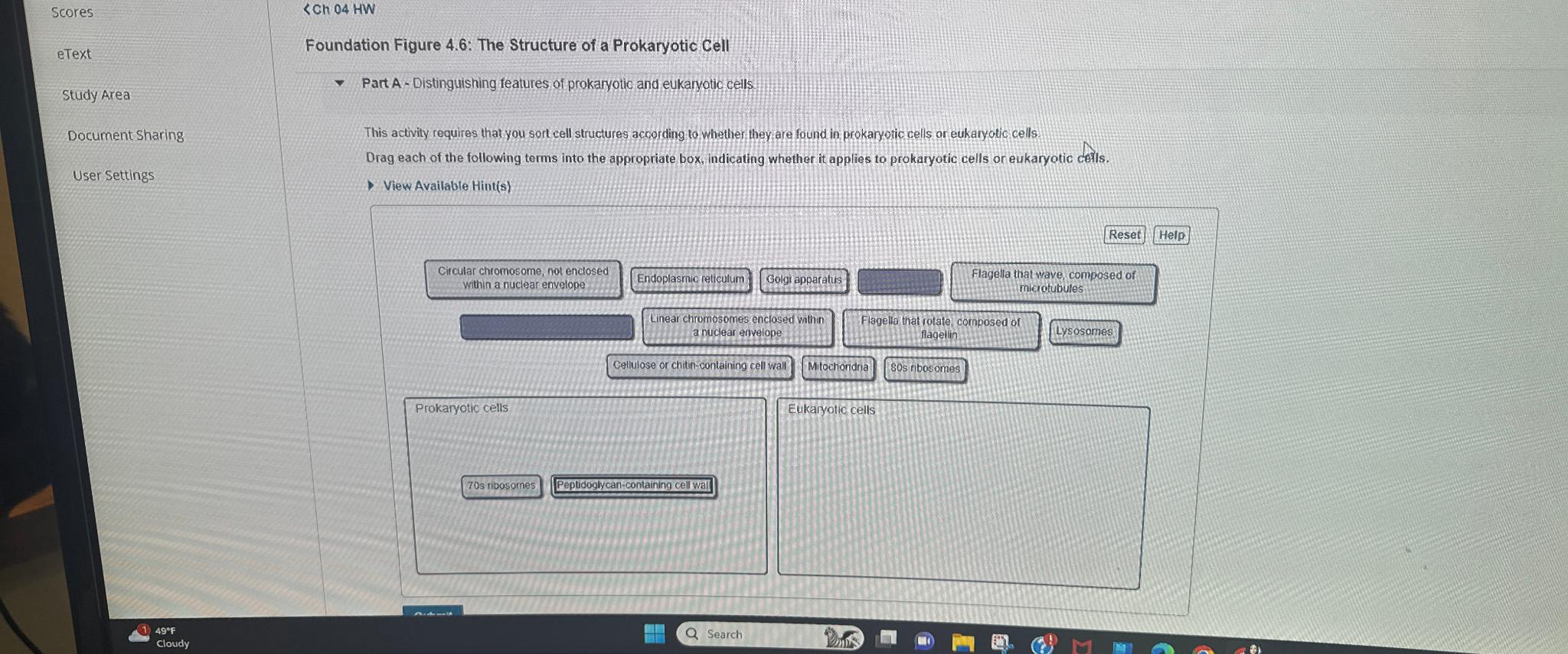 Solved ScoreseTextStudy AreaDocurnent SharingUser | Chegg.com