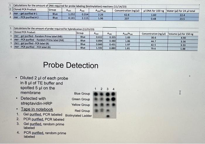 Solved Probe Detection - Diluted 2μl of each probe in 8μl of | Chegg.com